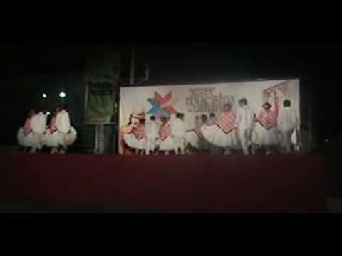 Huapango potosino parte 2 Grupo de Danza Folklorica Cuicacalli San Luis ...