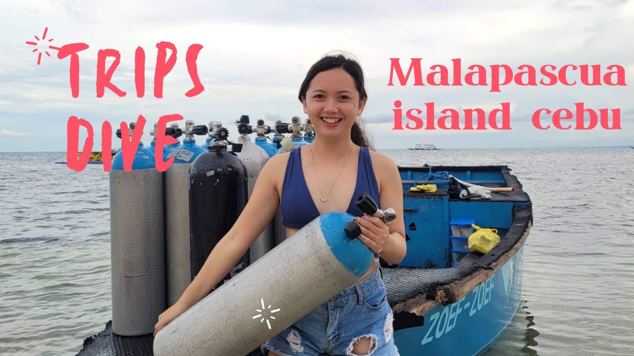 TRIPS DIVE IN GATO ISLAND MALASPACUA CEBU - YouTube
