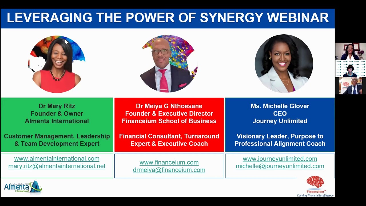 Leveraging The Power of Synergies with Dr Mary Ritz and Dr Meiya ...