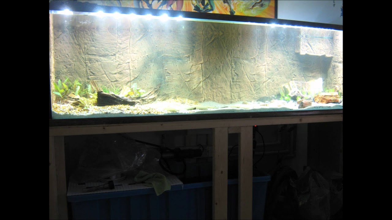 210 Planted Fish Tank - YouTube