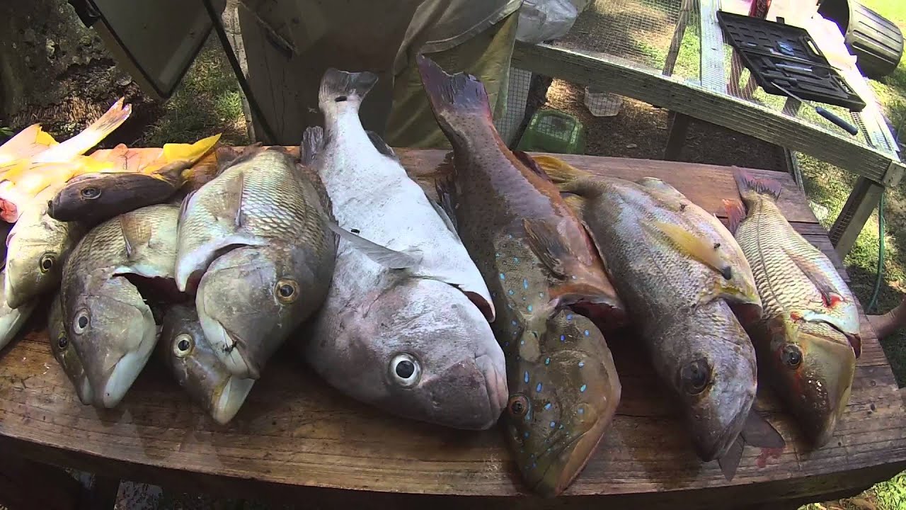 fishing mackay QLD - wet spot - YouTube