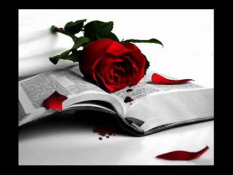 Confessions Of A Heart In Love