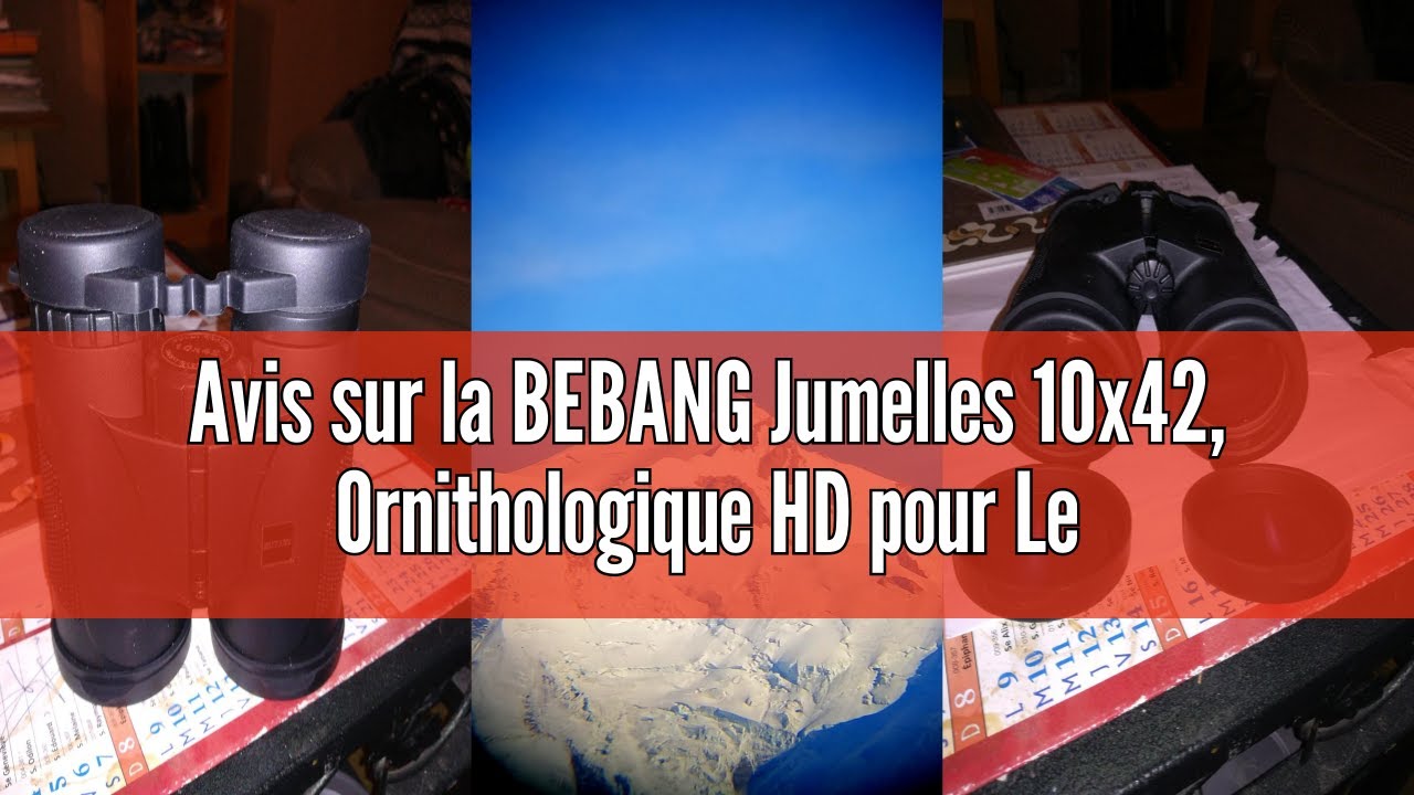 Avis sur la BEBANG Jumelles 10x42, Ornithologique HD pour Les ...