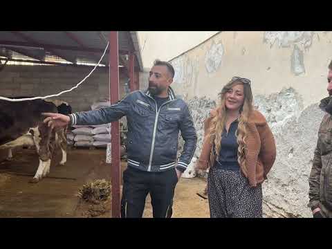 İLK HAYVANCILIĞA BAŞLAMAK. ?