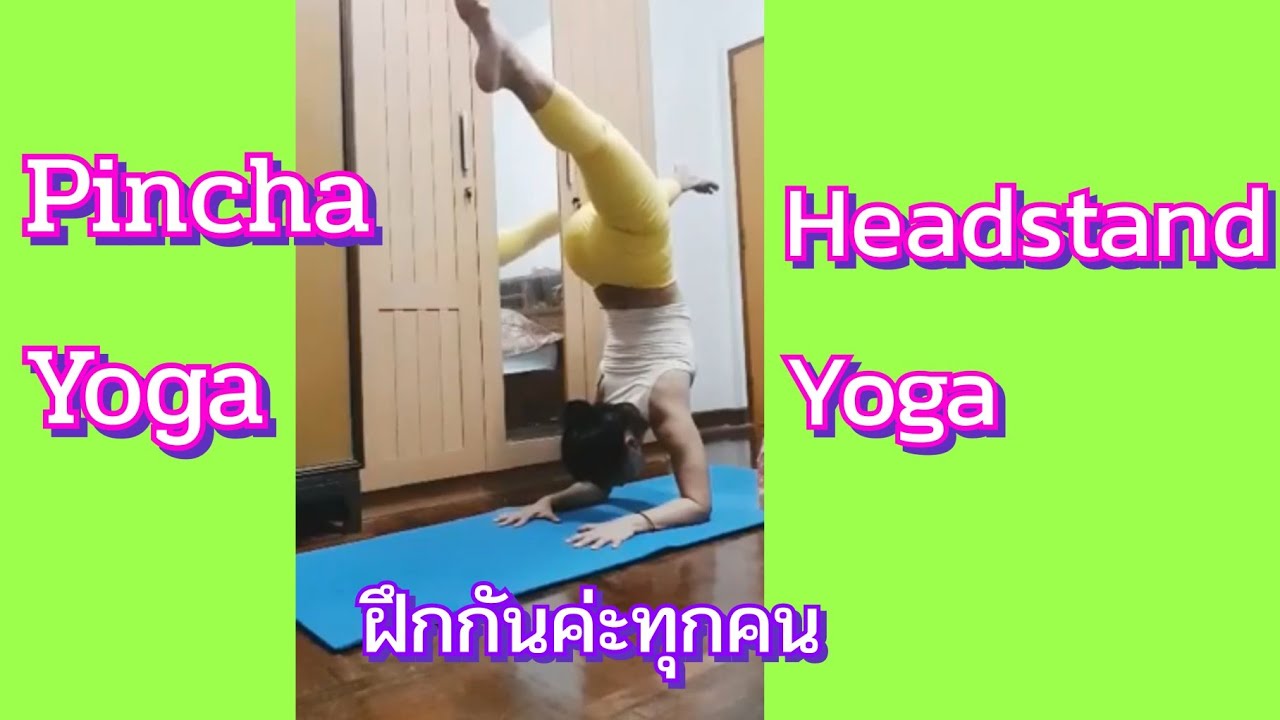 Pincha/Headstand Yoga Practice 26/11/64 - YouTube