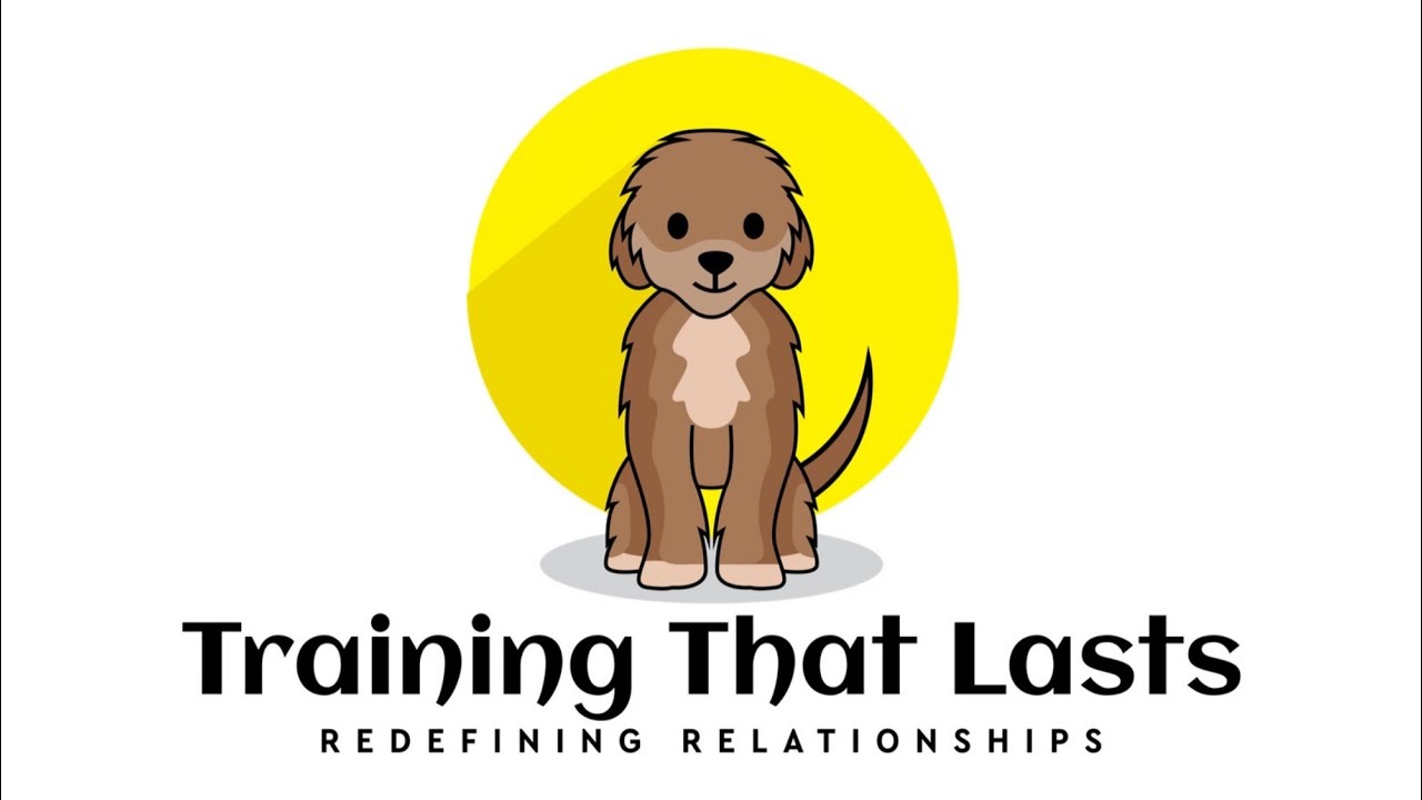 Puppy Training with Tova - YouTube