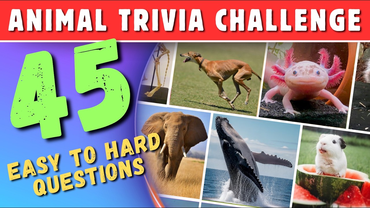 Animal Trivia Quiz Challenge - 45 Questions EASY to HARD - YouTube