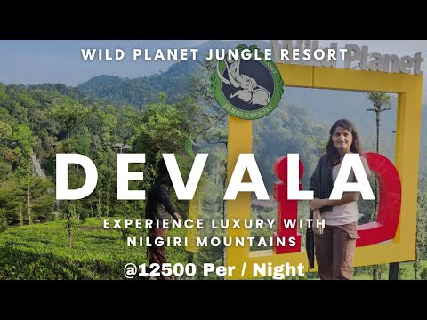 Wild Planet Jungle Resort | Best Jungle Resort In India | Devala Kerla