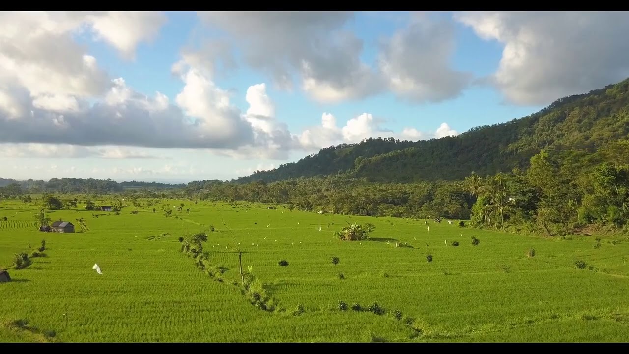 DRONE FOOTAGE OF FARMLAND | NO COPYRIGHT VIDEO | NO COPYRIGHT VIDEO ...