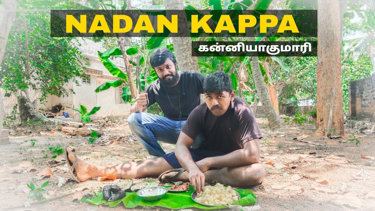 Kerala Kappa kilangu recipe in tamil | kuchi kilangu in tamil ...