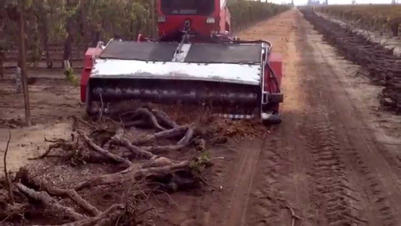 Dianna Built ShredAll shredding - YouTube