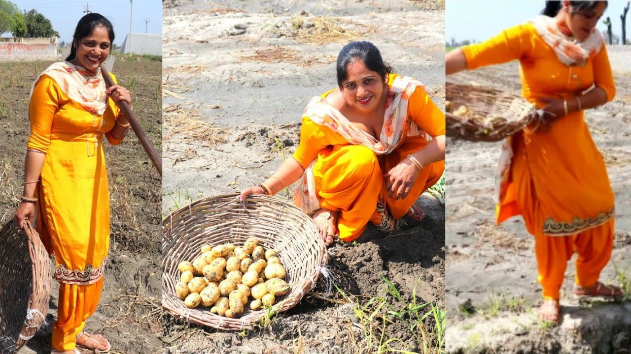 Village Life in Punjab (India) // Rural life of Punjab India 🖤 Indian ...