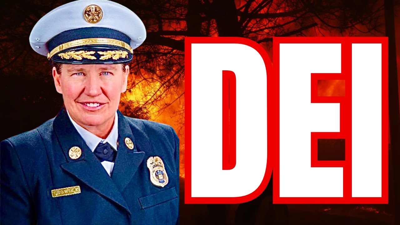 D.E.I. Is D.E.A.D. — This Insanity Has to End Once and for All and This ...