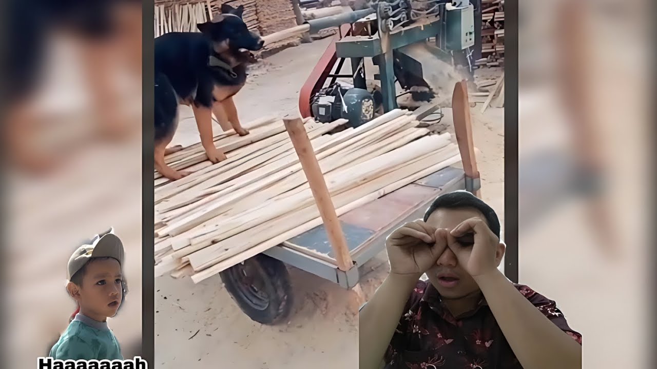 Skilled workers in the world || 20 most fastest workers in the world ...