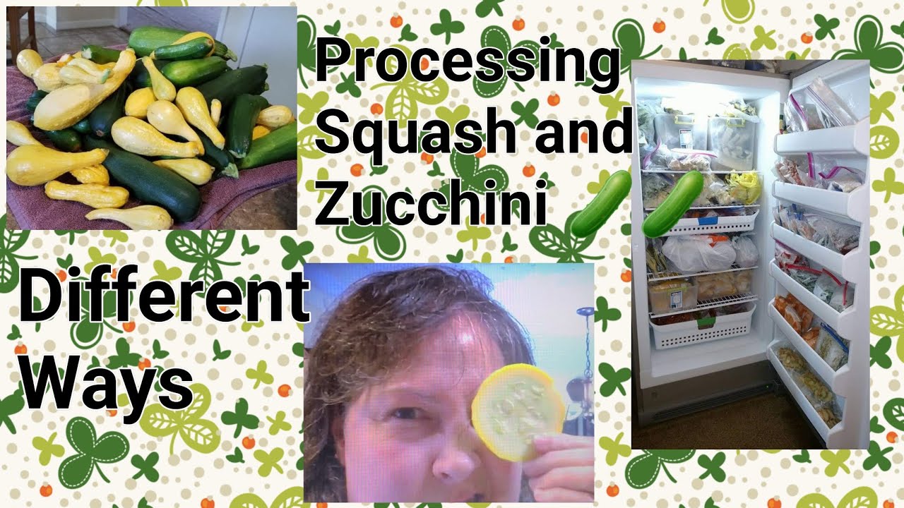 PROCESSING SQUASH Different Ways According To How I Want To Cook It ...