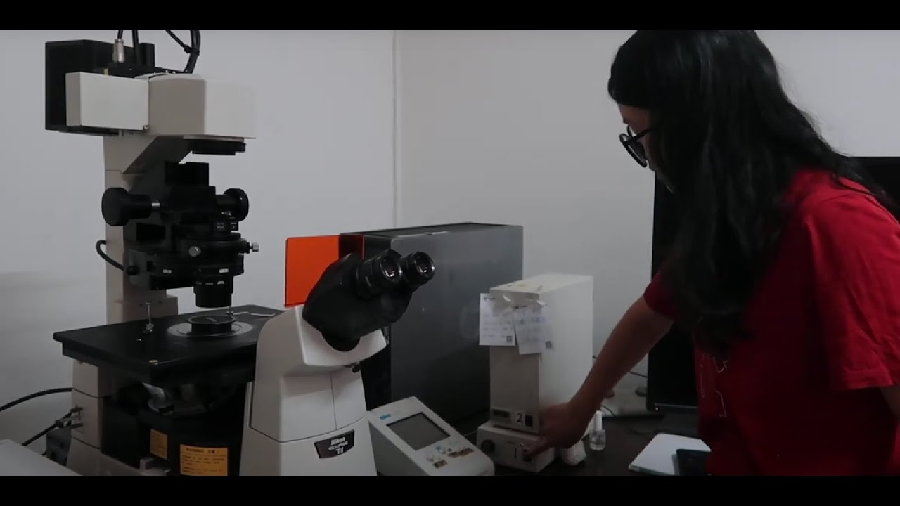 0016 Nikon Laser Confocal Microscope A1 Computer Operation HD Version 1 ...