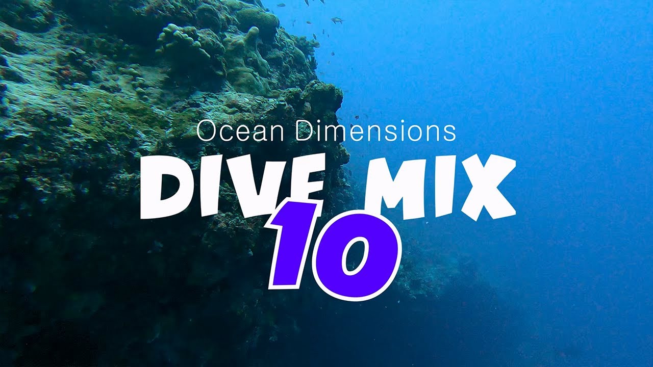 Ocean Dimensions - Dive Mix 10 - YouTube