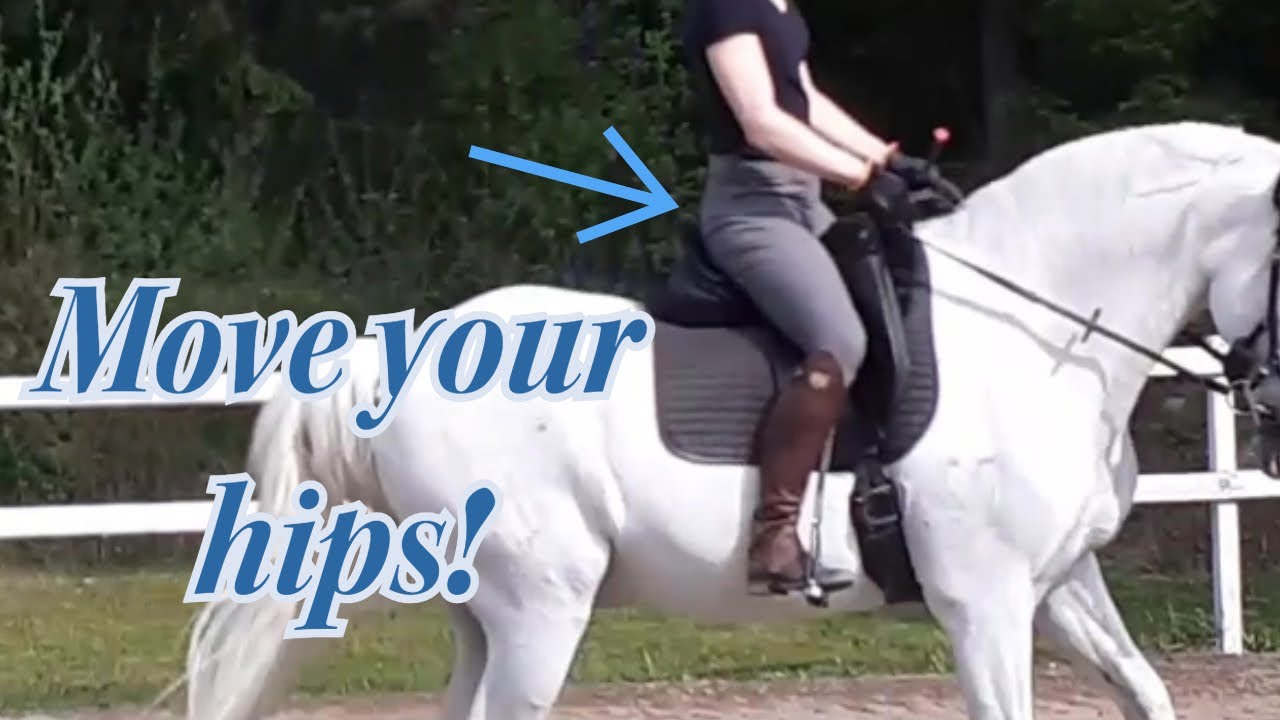 Equestrian hip mobility workout on the horse (warm up your hips for ...