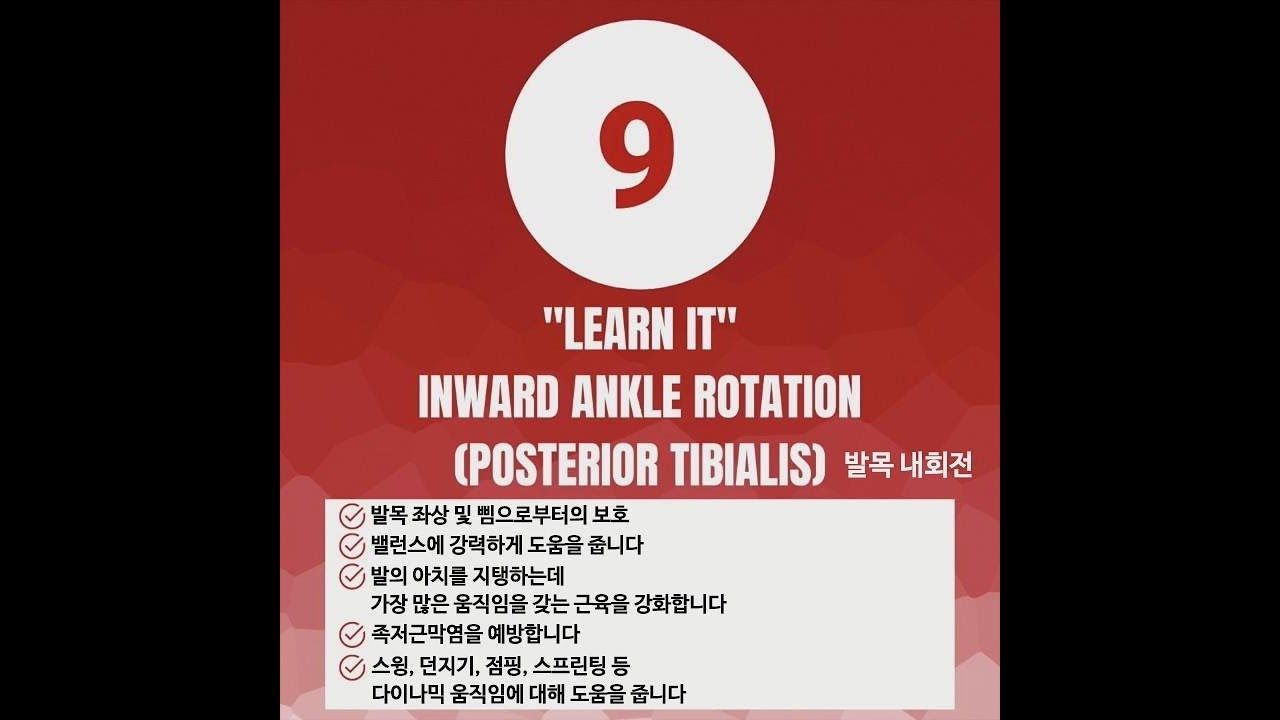 로텍스모션 'LEARN IT'_#9 Inward Ankle Rotation Posterior Tibialis - YouTube