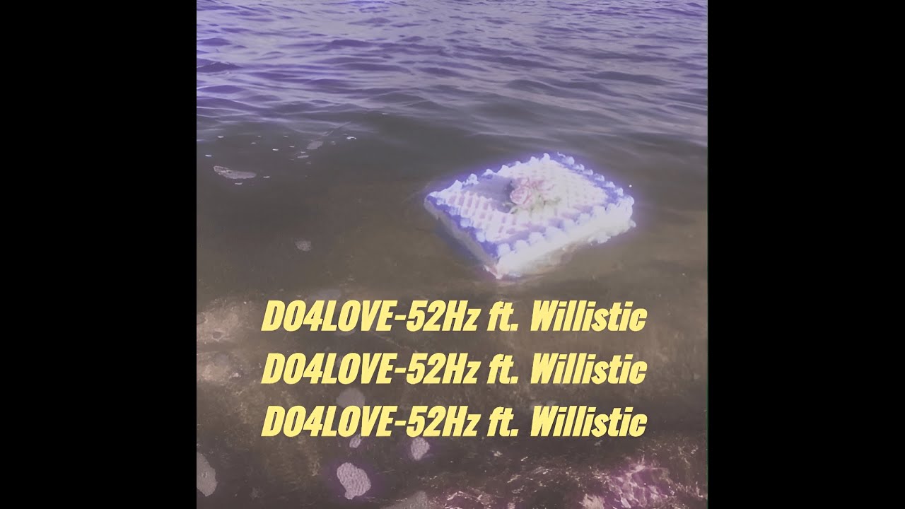 [Fanmade] DO4LOVE – 52Hz ft. willistic | Lyric Video. - YouTube