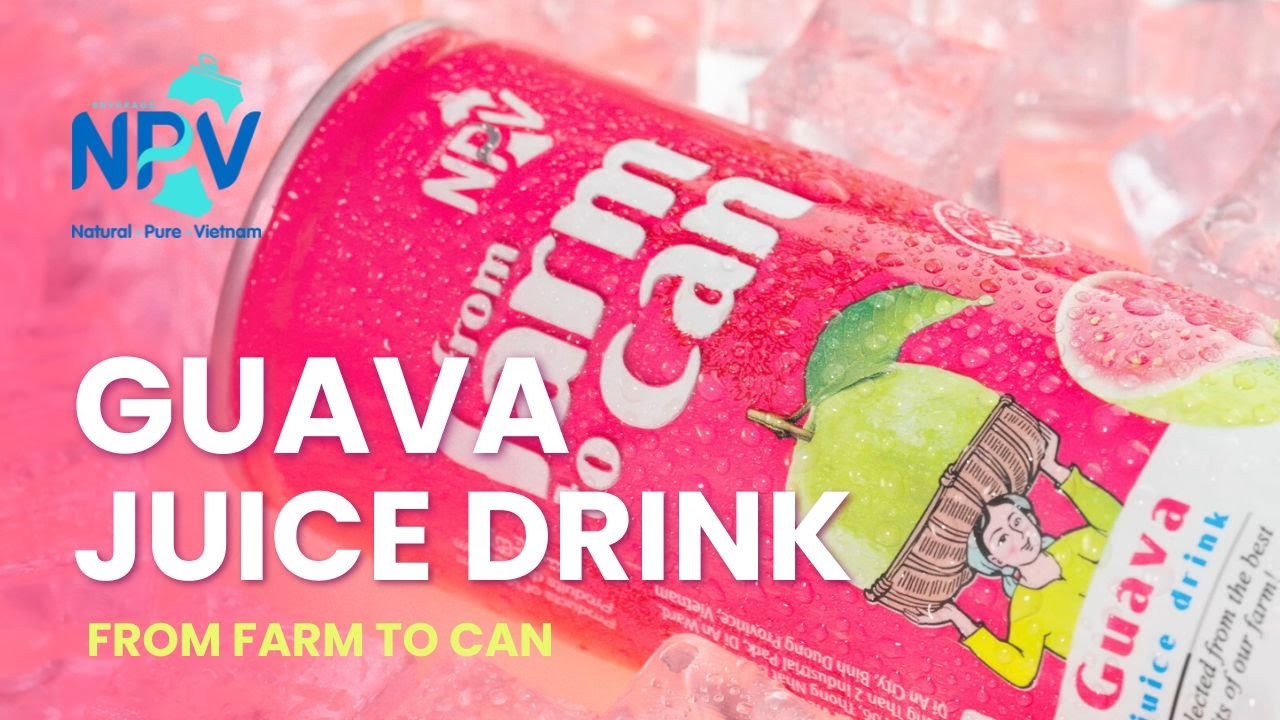 NPV Guava Juice Drink 250ml Can | Naturally Refreshing Guava Flavor ...