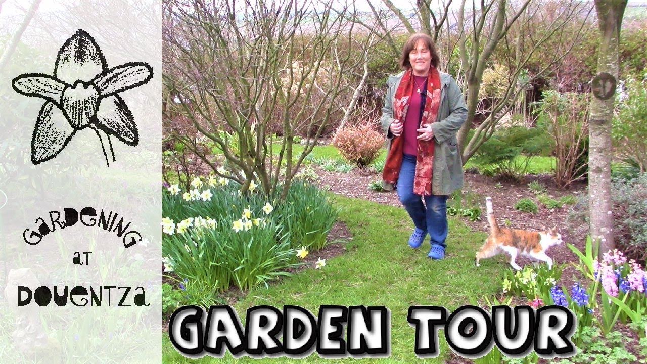 March Garden Tour || spring bulbs & gardening chat - YouTube