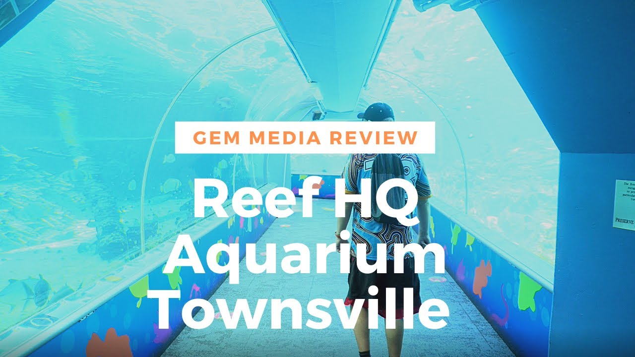 Reef HQ Aquarium Townsville City QLD - YouTube
