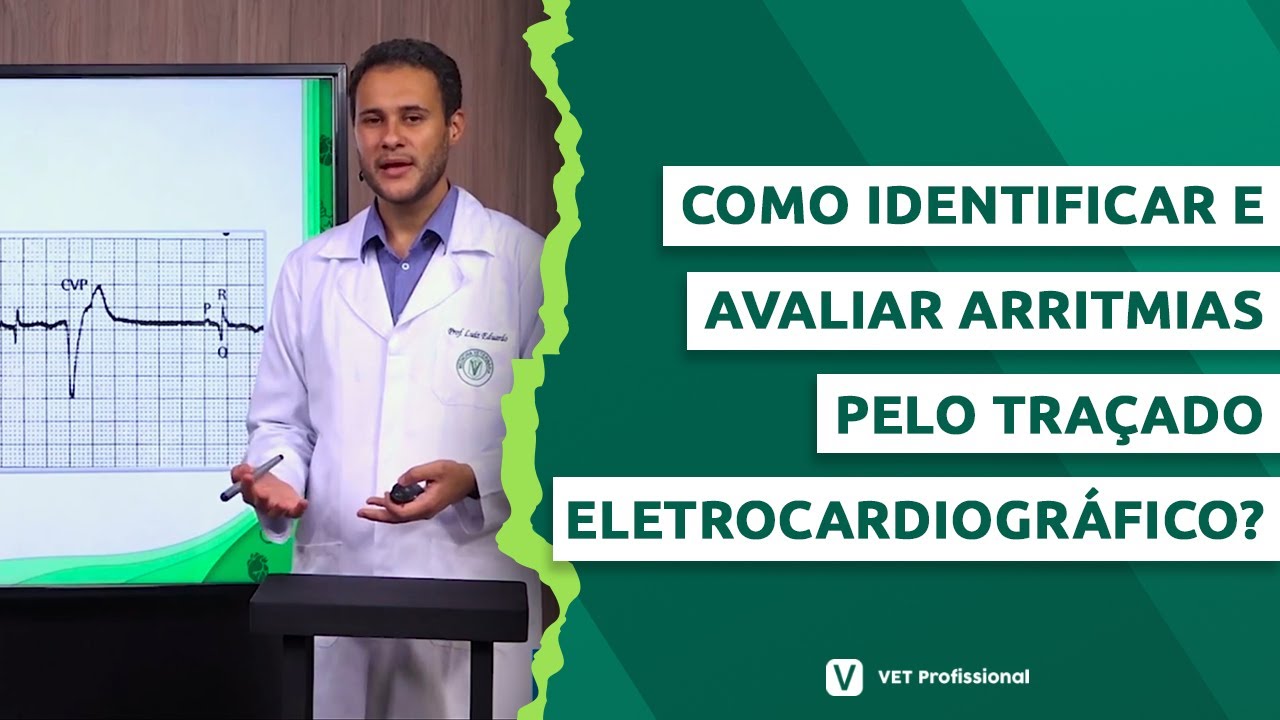 Arritmias ventriculares em cães e gatos - YouTube