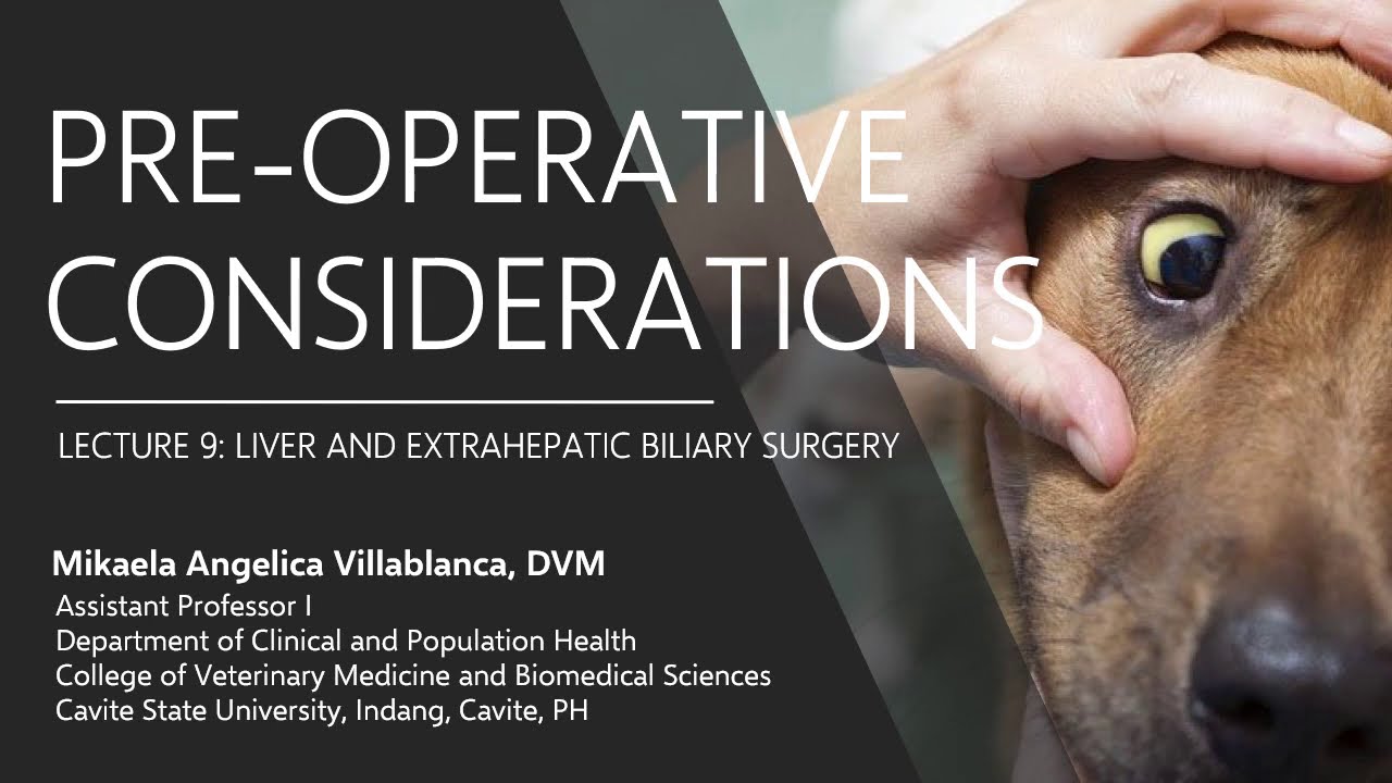 Lecture 9.2 Pre-operative Considerations - YouTube