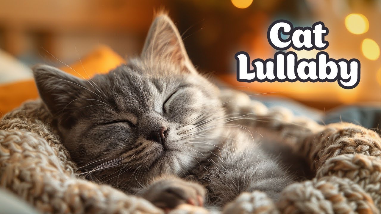 Healing Lullaby for Cats ♫ Ultimate Calming Kitten Lullaby for Sleep ...