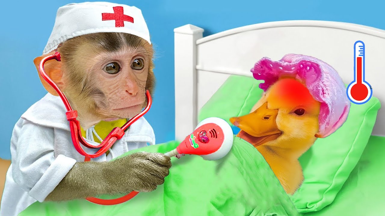 Monkey Baby Ton Ton being Good Brother use Milk Bottle to Take Care of ...