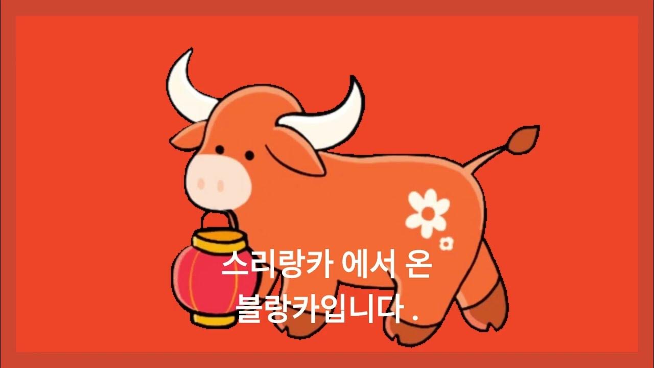 스리랑카 에서 온 블랑카 입니다 Youtube