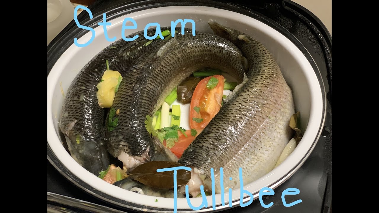 Steam tullibee. Fishing/cooking/eating. - YouTube