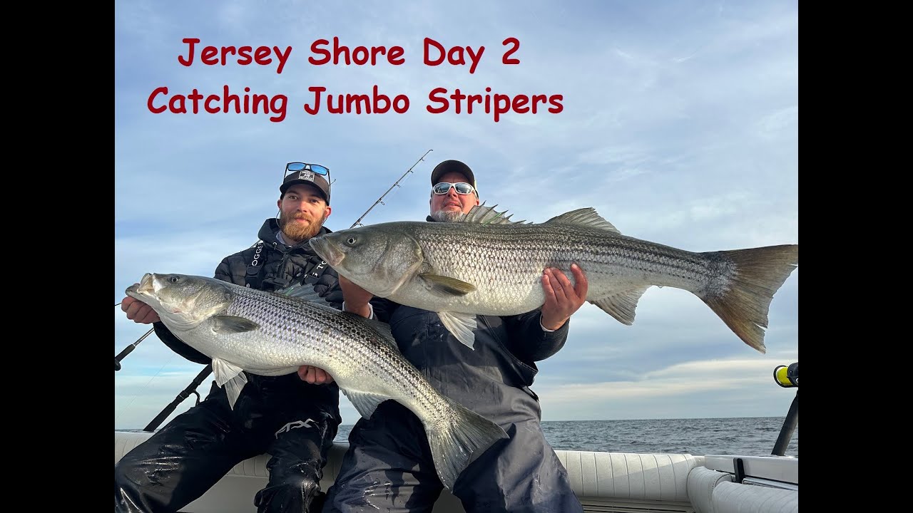 Jersey Shore Day 2 Catching Jumbo Striped Bass - YouTube