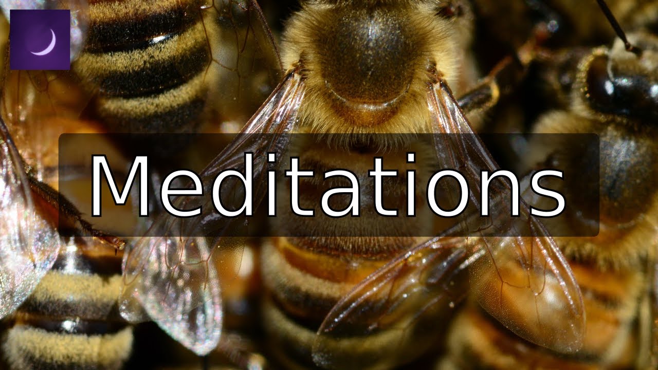 Full Body Relaxation-6 Minute Meditations-'Dance of the Bees' - YouTube