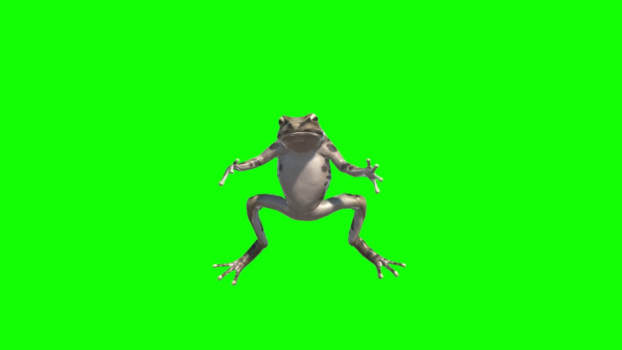 Green Screen Disco Frog Animations Pack - YouTube