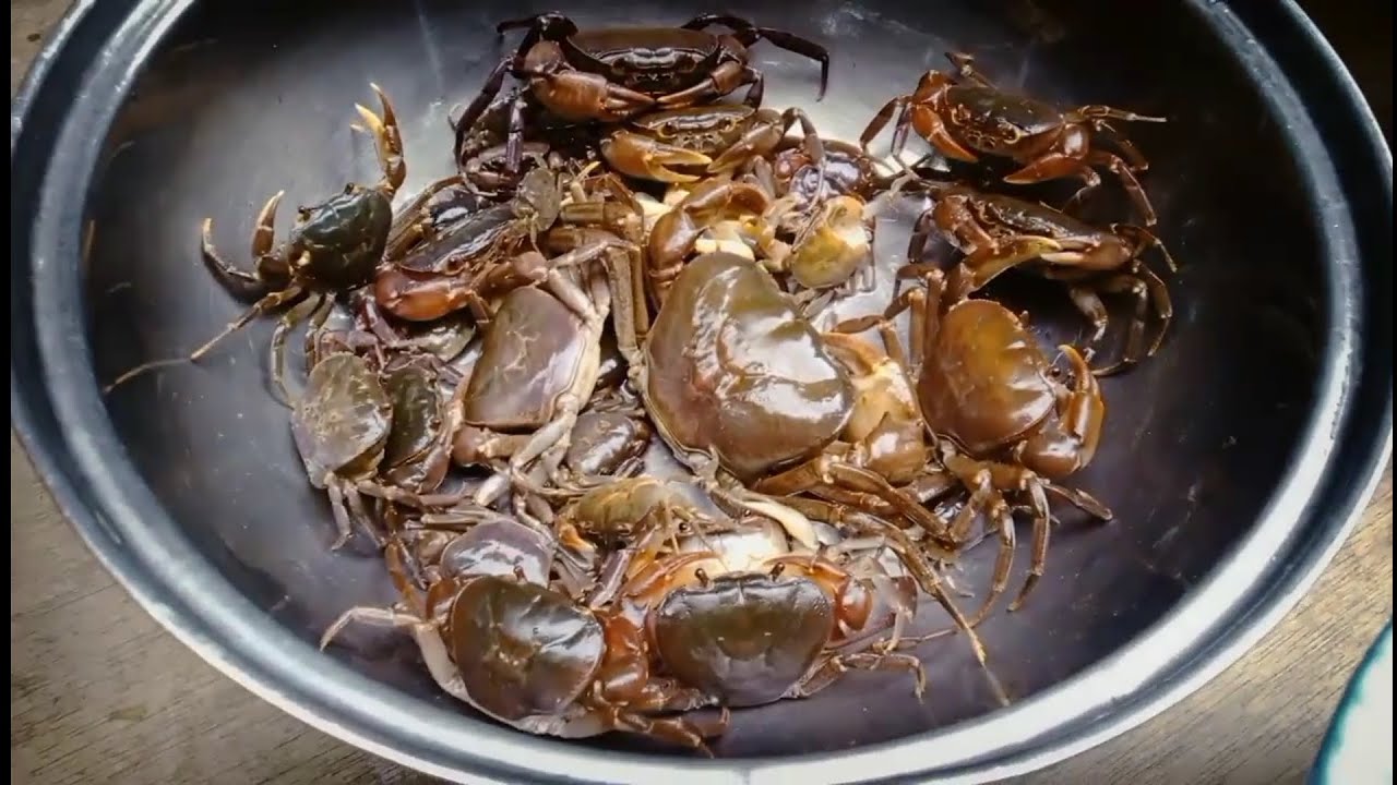 Crab Catch and Cook | Kagang Hunting pt.2 - YouTube