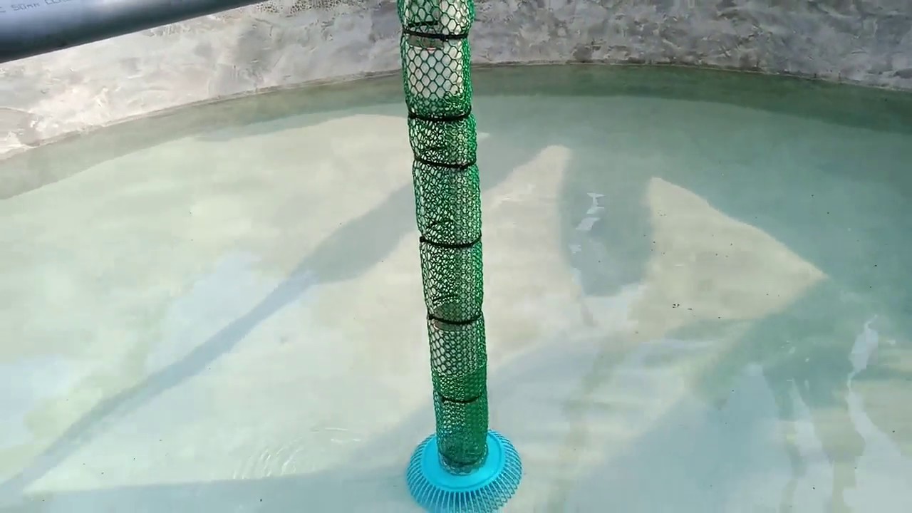 How To Make Echo Trap In 10 Minutes.. - YouTube