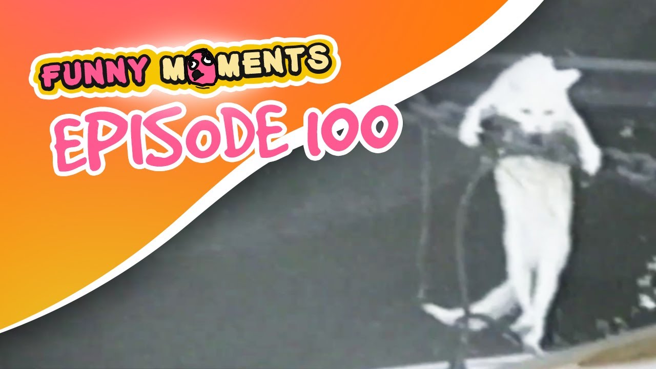 #100. THE FUNNIEST FAIL VIDEO EVER | Funny Moments - YouTube