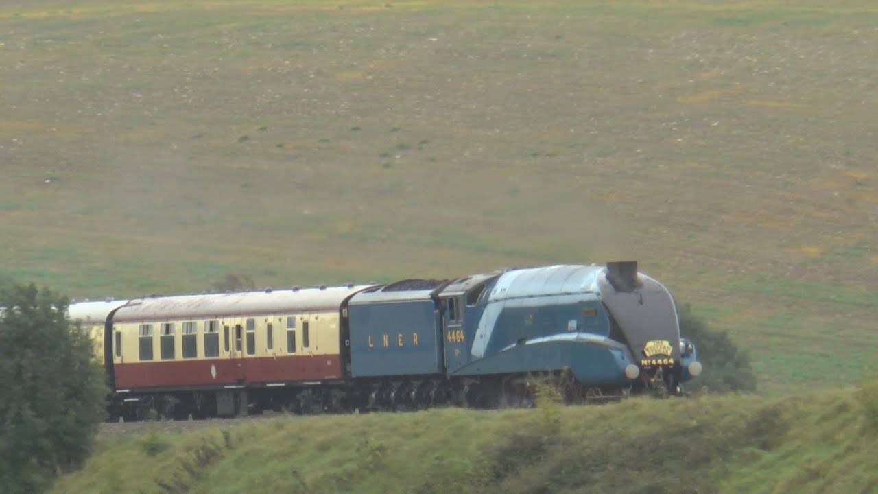 4464 (60019) Bittern,`The Western Streak` 1z44/1z46 ,18-10-14 - YouTube