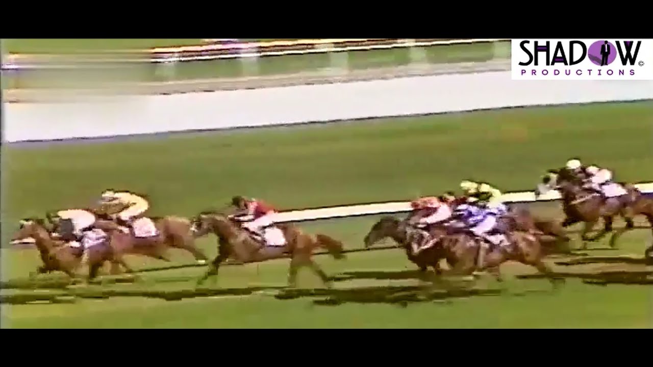 Sovereign Red Hobartville Stakes second to Shaybisc 3 - YouTube
