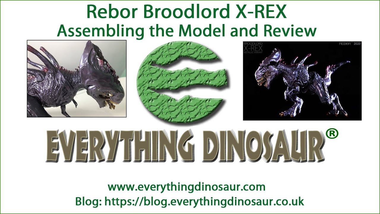 How to Put Together the Rebor Broodlord X-REX Model - YouTube