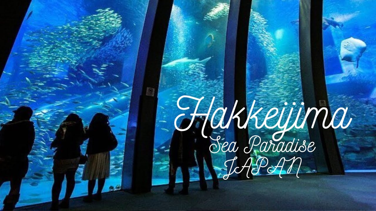 Hakkeijima Sea Paradise, Japan Yokohama - YouTube