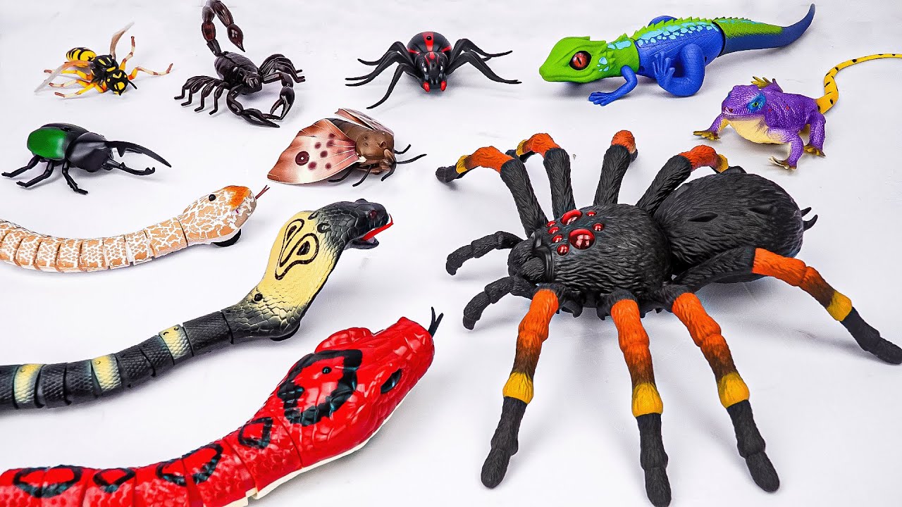 [🦋 Toy Asmr 🦂] Remote Control Animals : Snake - Giant Tarantula ...