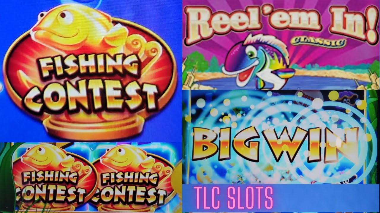 🐟Let's Have a Fishing Contest!🦈Reel 'em In Slot! TLC Slots - YouTube