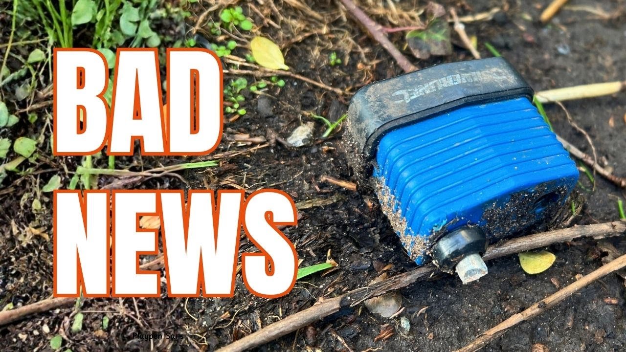 Shed Break-In at the Allotment: Full Walkthrough & Update - YouTube
