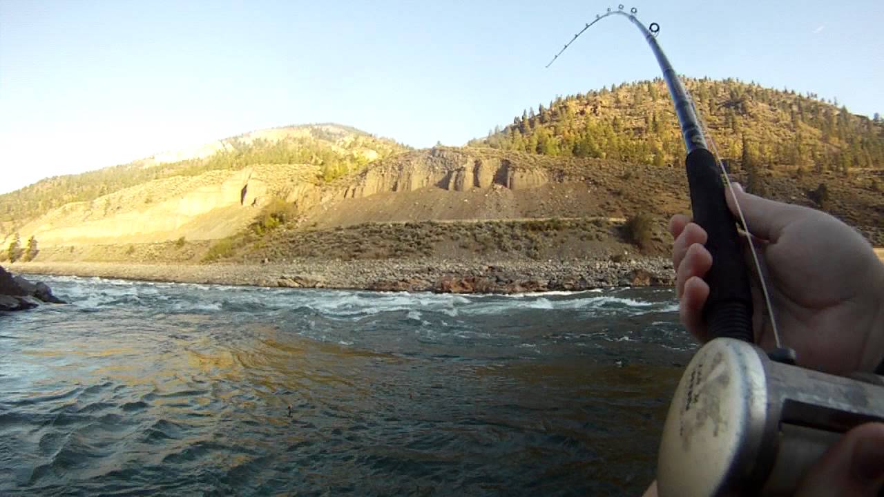 GoPro HD: Salmon Fishing Huge Rod Flex in British Columbia - YouTube