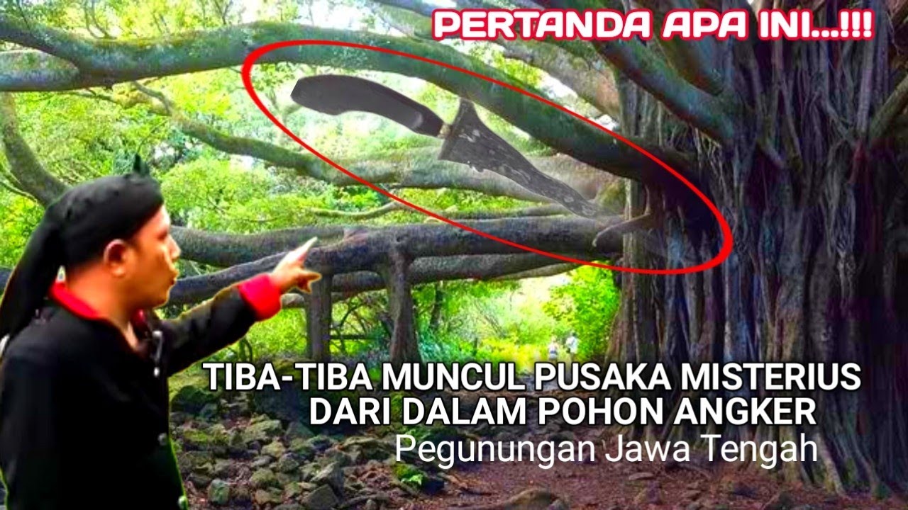 Pertanda apa.? tiba-tiba muncul pusaka misterius dibawah pohon angker ...