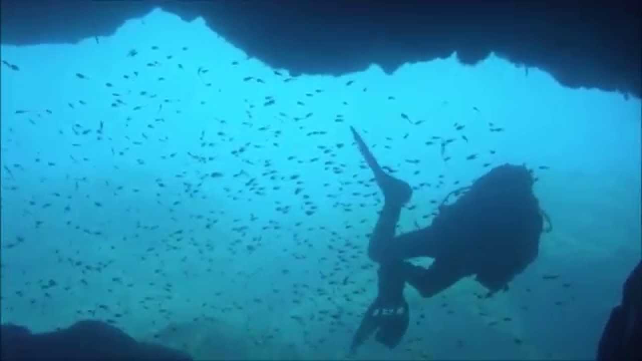 Azores Diving - YouTube