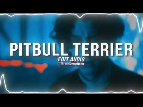 DIE ANTWOORD - PITBULL TERRIER [edit audio]